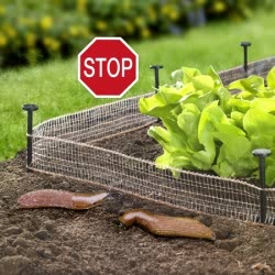 Control: Barrier – Slug Wall – Eaten by Slugs